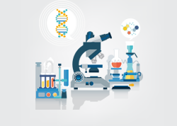 Human Recombinant Antibodies as Positive Controls and Calibrators