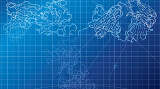 Bio-Rad Antibodies | Reagents, Antigens & Kits | Formerly AbD Serotec