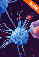 Bio-Rad Antibodies | Reagents, Antigens & Kits | Formerly AbD Serotec