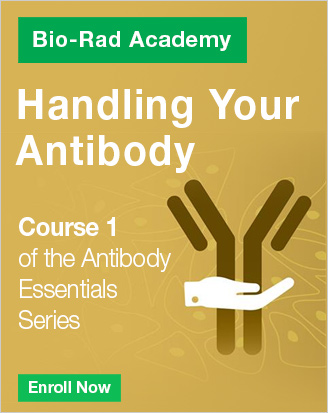 Bio-Rad Antibodies | Reagents, Antigens & Kits | Formerly AbD Serotec