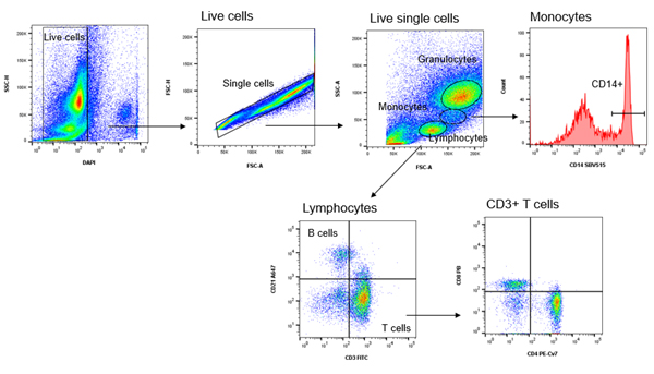 Flow Cytometry — Immunophenotyping in Dogs | Bio-Rad