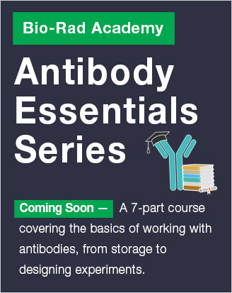 Bio-Rad Antibodies | Reagents, Antigens & Kits | Formerly AbD Serotec