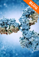 Bio-Rad Antibodies | Reagents, Antigens & Kits | Formerly AbD Serotec