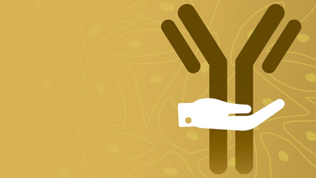 Bio-Rad Antibodies | Reagents, Antigens & Kits | Formerly AbD Serotec