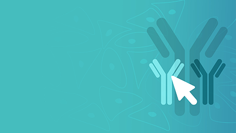 Bio-Rad Antibodies | Reagents, Antigens & Kits | Formerly AbD Serotec