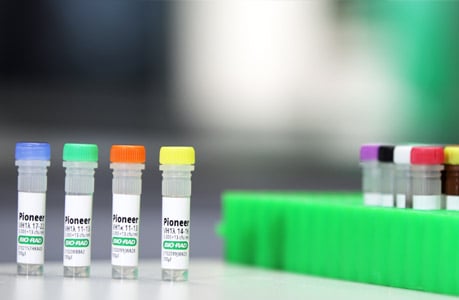 Bio-Rad Antibodies | Reagents, Antigens & Kits | Formerly AbD Serotec